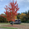 Waterloo County Park - Lebanon, Oregon - RV LIFE Campground Reviews